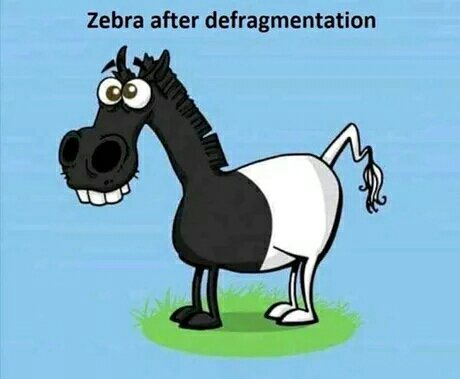 Defragmentiertes Zebra | Research Unit One | Ruo.de